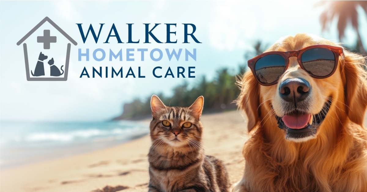 Walker Hometown Animal Care • Veterinarian in Foley, Alabama